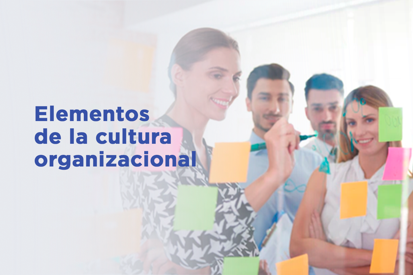 Elementos de la Cultura Organizacional | Desarrollo Organizacional